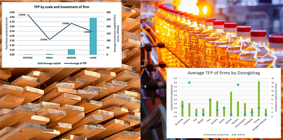 Detailed Study on Productivity Assessment in Wood and Agro Based ...